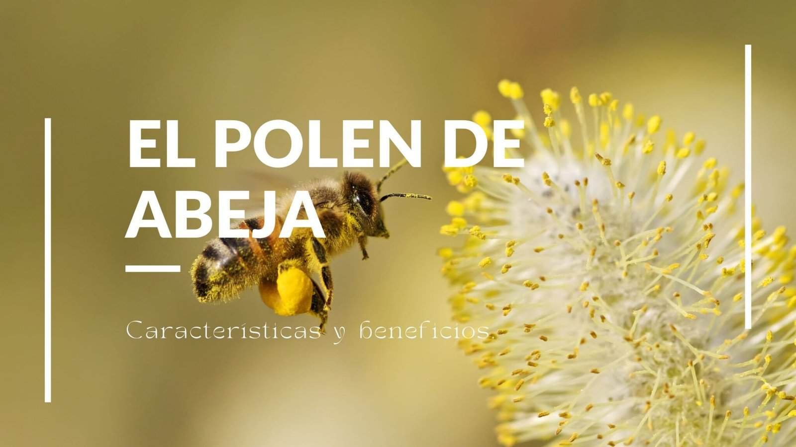 El Polen de Abeja | Lagareta Gourmet